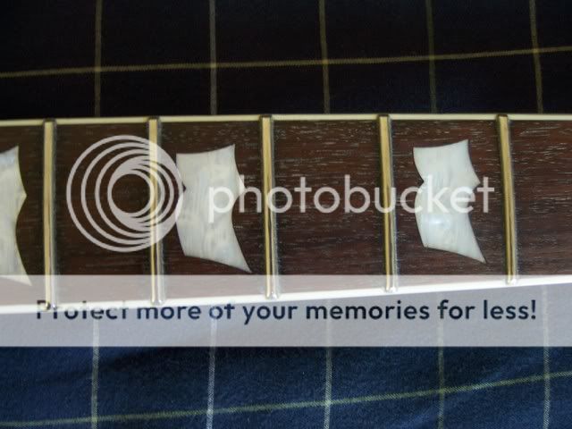 Anyone ever use Ebony fretboard stain/dye? - Electric Guitars - Harmony ...