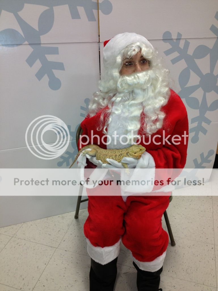 Lets see your fresh / salt water fish tanks - Rolex Forums - Rolex ...