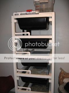 Automatic watering system | Reptile Forums