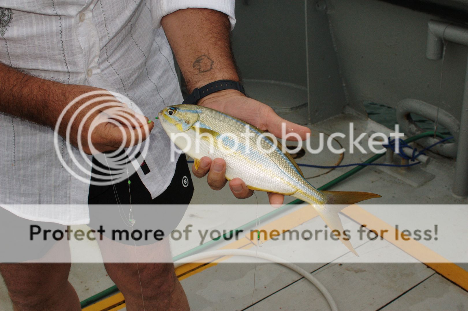 PANAMA BY PANGA JUNE 20-28, 2008 | Bloodydecks