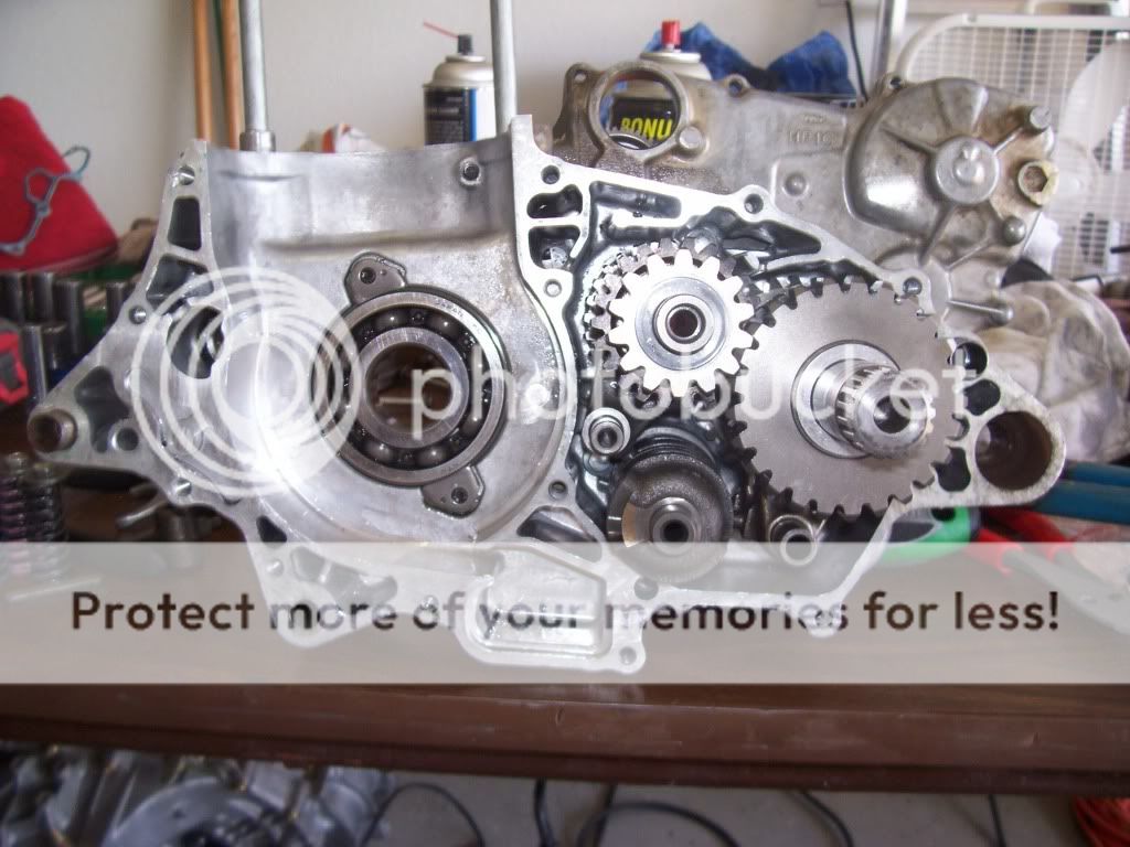 Rebuilt my Engine today | Honda TRX 450R